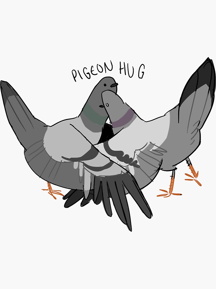 "pigeon hug" Sticker for Sale by notmusa | Redbubble