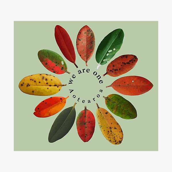 Lámina fotográfica «We are One - Aotearoa (celebración de la diversidad ...