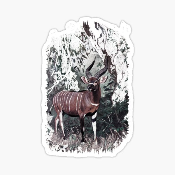 "Painting of The Bongo" Sticker for Sale by marmur | Redbubble