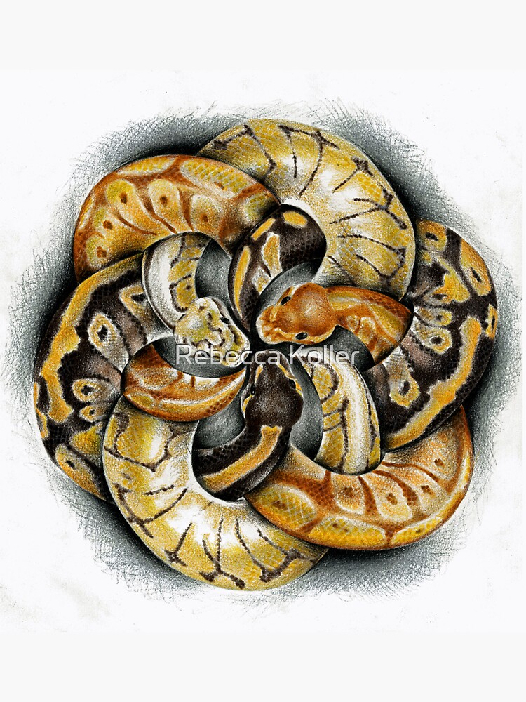 "Python knot" Sticker for Sale by Rebecca Koller | Redbubble