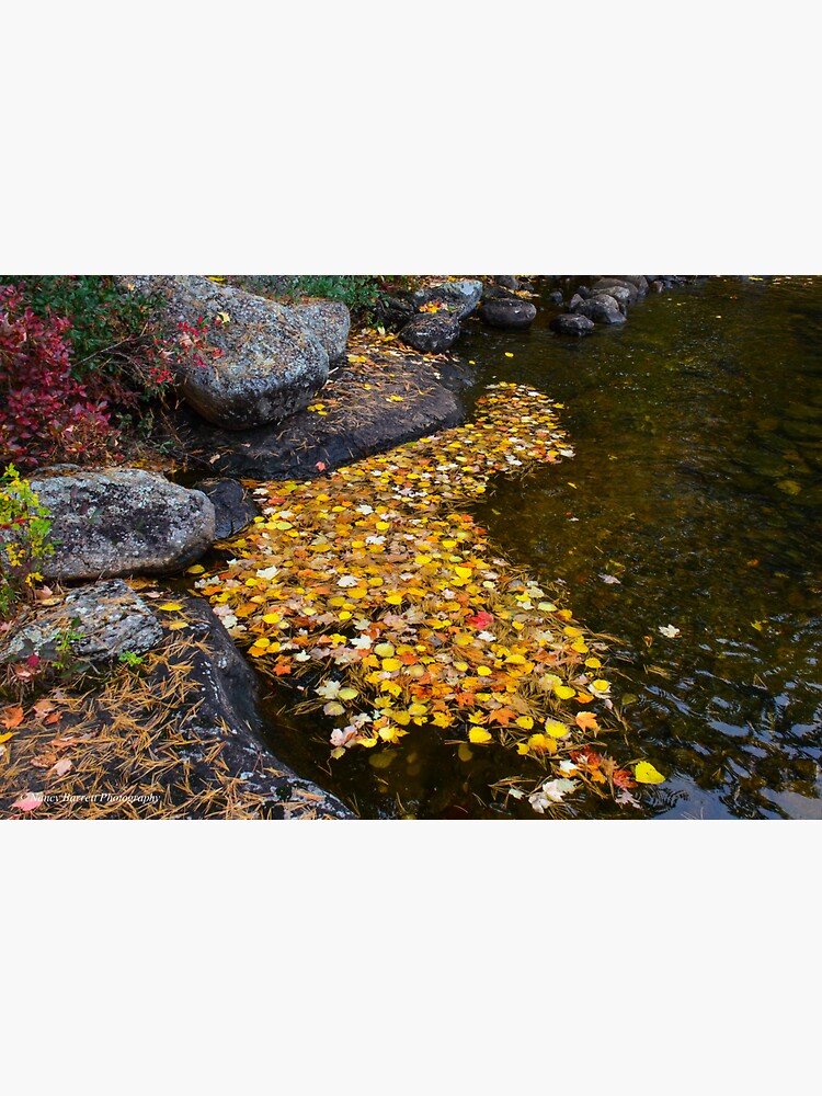 "Floating " Sticker by naturegirl99 | Redbubble