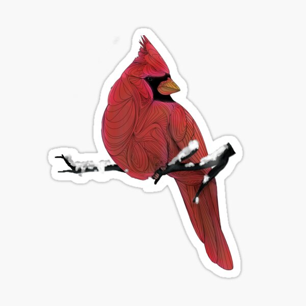 "Cardinal" Sticker for Sale by BRGproductions | Redbubble