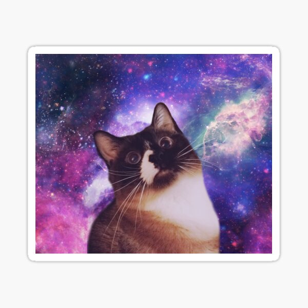 "Space kitty" Sticker by lindseytoons | Redbubble