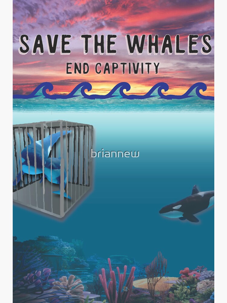 "Save the Whales" Sticker for Sale by briannew | Redbubble
