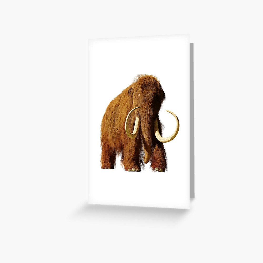 "cute woolly mammoth, prehistoric mammal" Greeting Card by DottedYeti ...