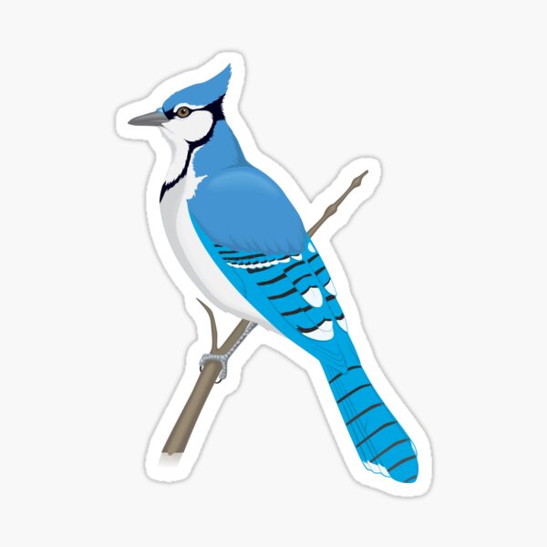 "Blue jay" Sticker by Smaragdas | Redbubble