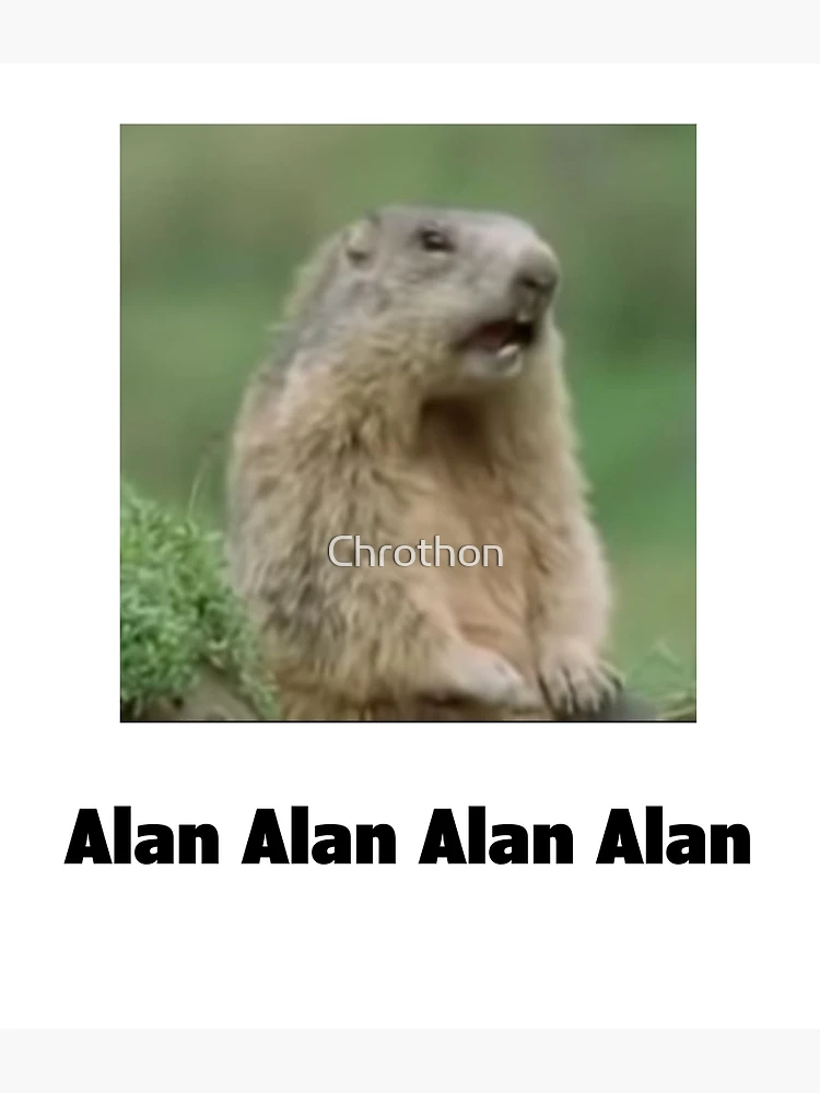 Alan Gopher Memes 🐻CREATURE FEATURE! This Month, We're Highlighting