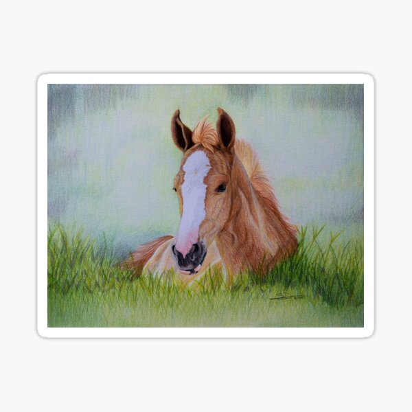 ""Young Flame" - Criollo colt" Sticker for Sale by earth2sd | Redbubble