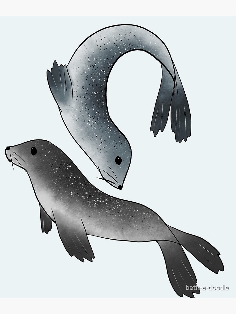 "Leopard Seals" Poster for Sale by beth-a-doodle | Redbubble
