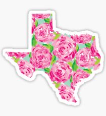 Texas Girl Stickers | Redbubble