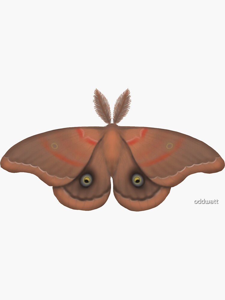 "Polyphemus Moth" Sticker for Sale by oddwatt | Redbubble