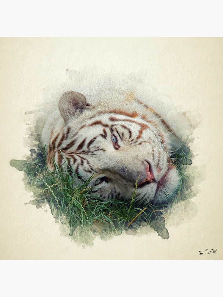 "White Tiger Table" Sticker for Sale by Pearcatprod | Redbubble