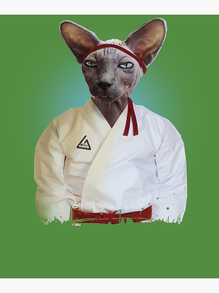 "Cat Sensei- Katate Cat Grand Master" Poster by Merch-Tees | Redbubble