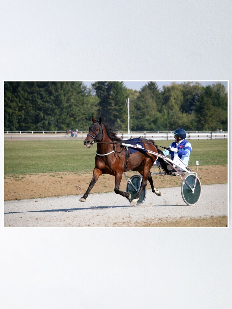 "Harness racing at the hippodrome horse trotting" Poster for Sale by ...