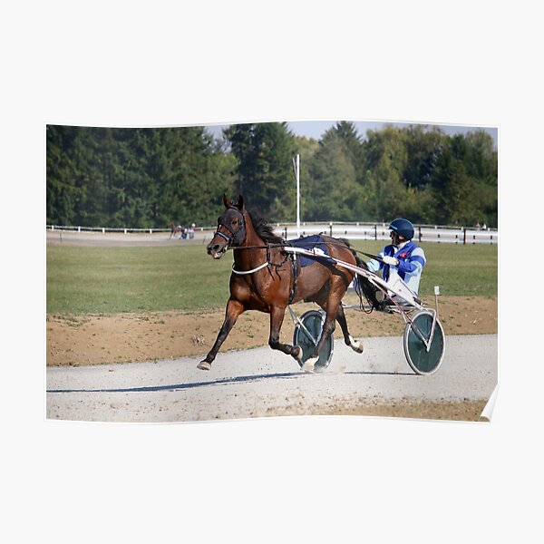 "Harness racing at the hippodrome horse trotting" Poster for Sale by ...