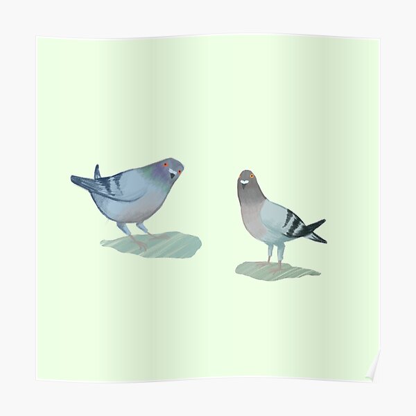 Pigeon Posters | Redbubble