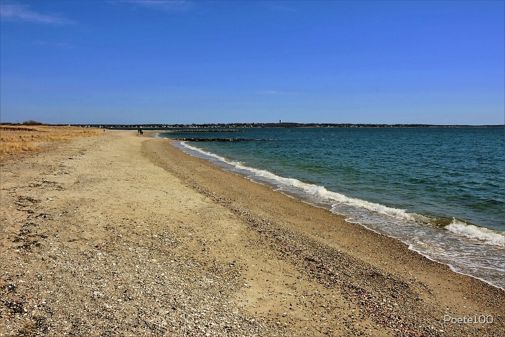 "Fort Phoenix State Park Beach..." by Poete100 | Redbubble