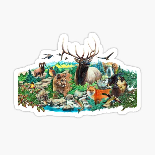 "Wildlife Collage" Sticker by Salmoneggs | Redbubble
