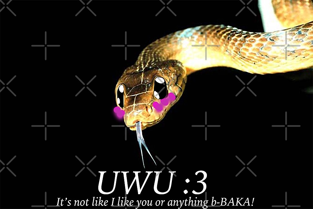 "UWU Snake" by LeonardoDaSeal | Redbubble