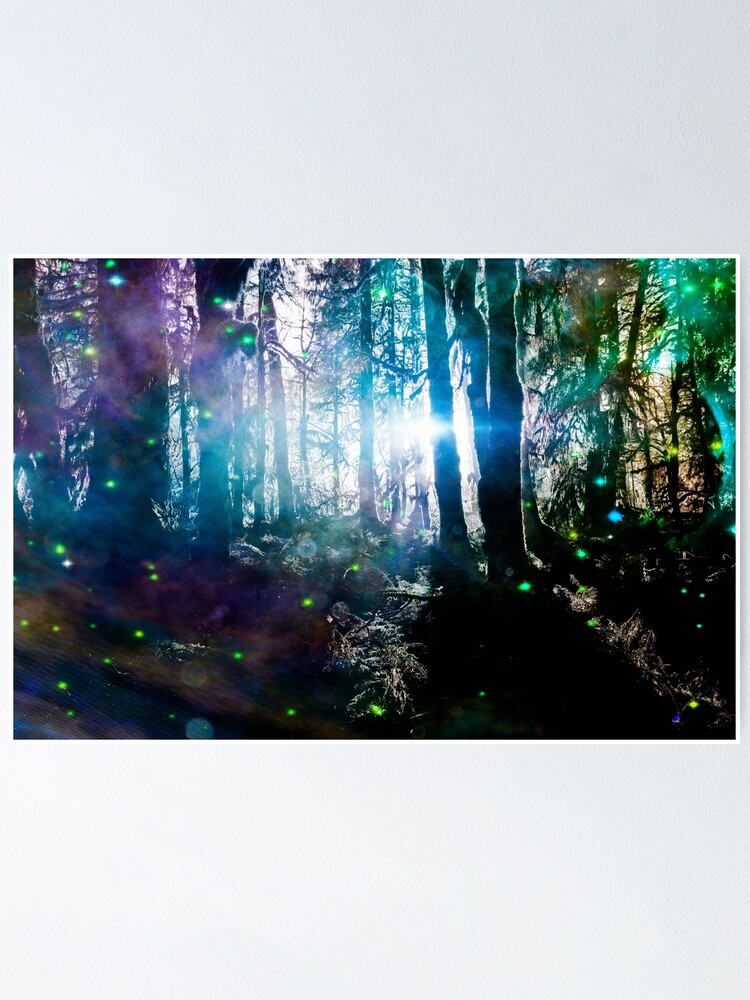 "Forest Trees Magical Path Fireflies - Olympic National Park Hoh ...