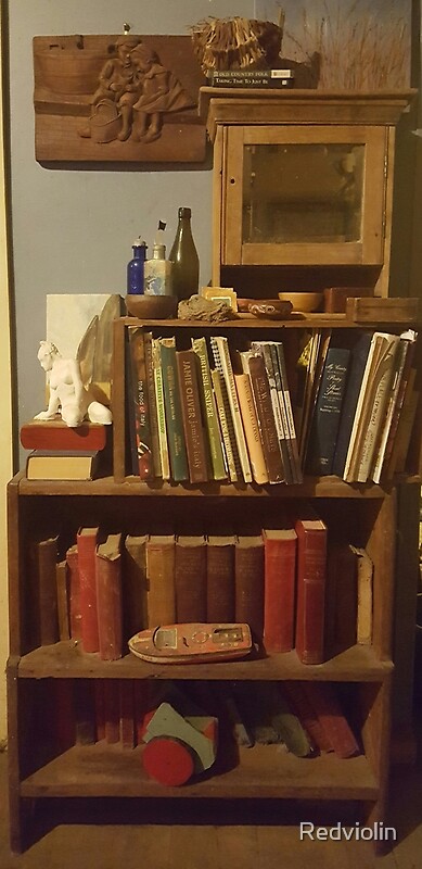 "Eclectic bookcase " by Redviolin | Redbubble