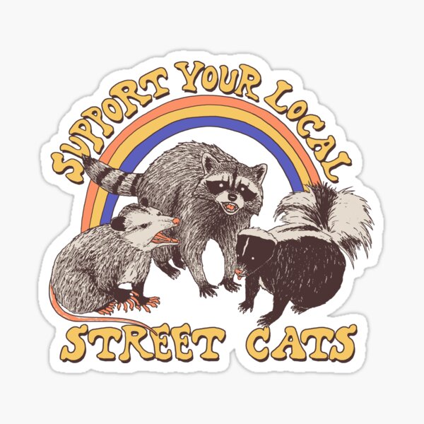 Raccoon Stickers | Redbubble