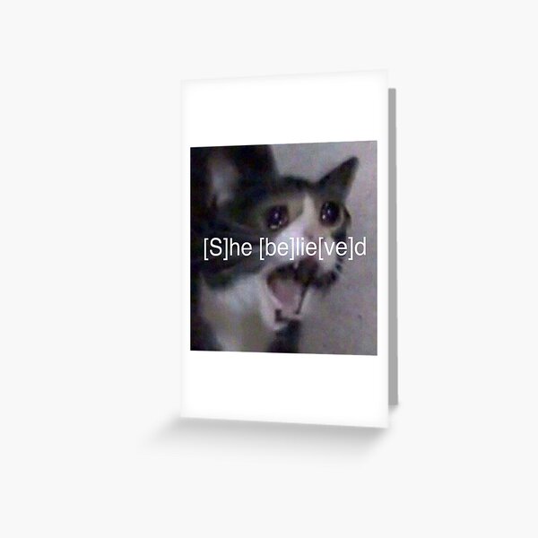 "Sbeve she believed meme" Greeting Card by MemesnDeams | Redbubble