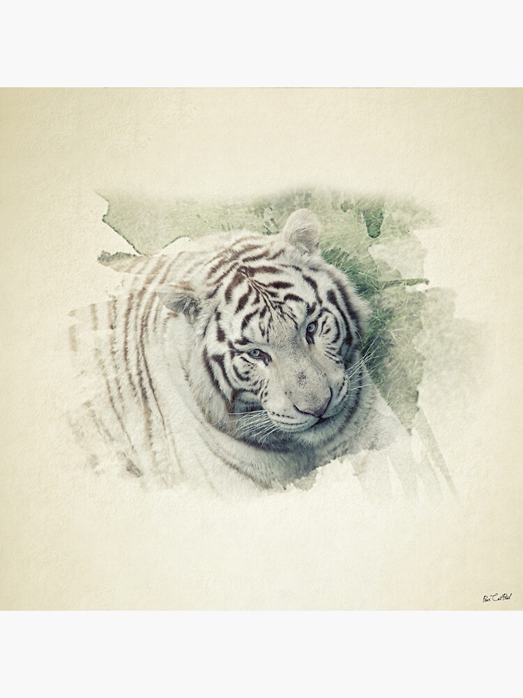 "White Tiger Table" Sticker by Pearcatprod | Redbubble