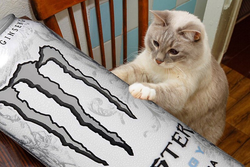 "Kot Blini Sips Monster" by Regseh | Redbubble