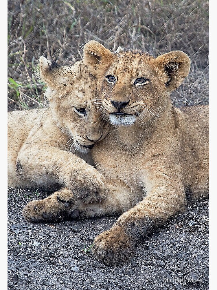 "Growing Up" Poster by Mytmoss | Redbubble