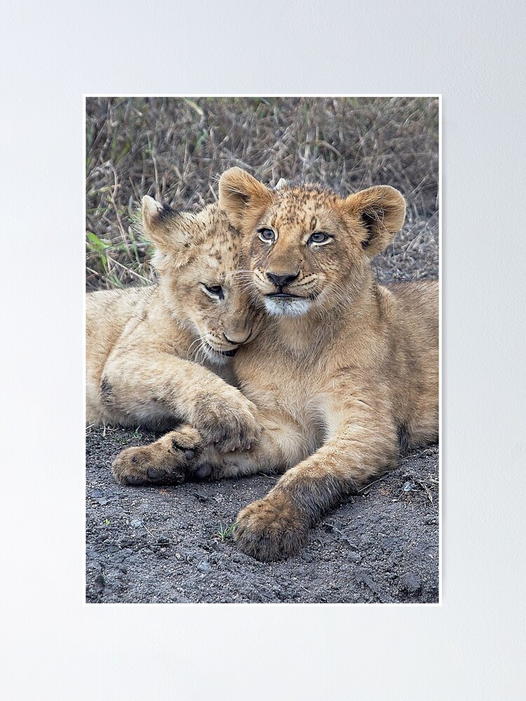 "Growing Up" Poster by Mytmoss | Redbubble