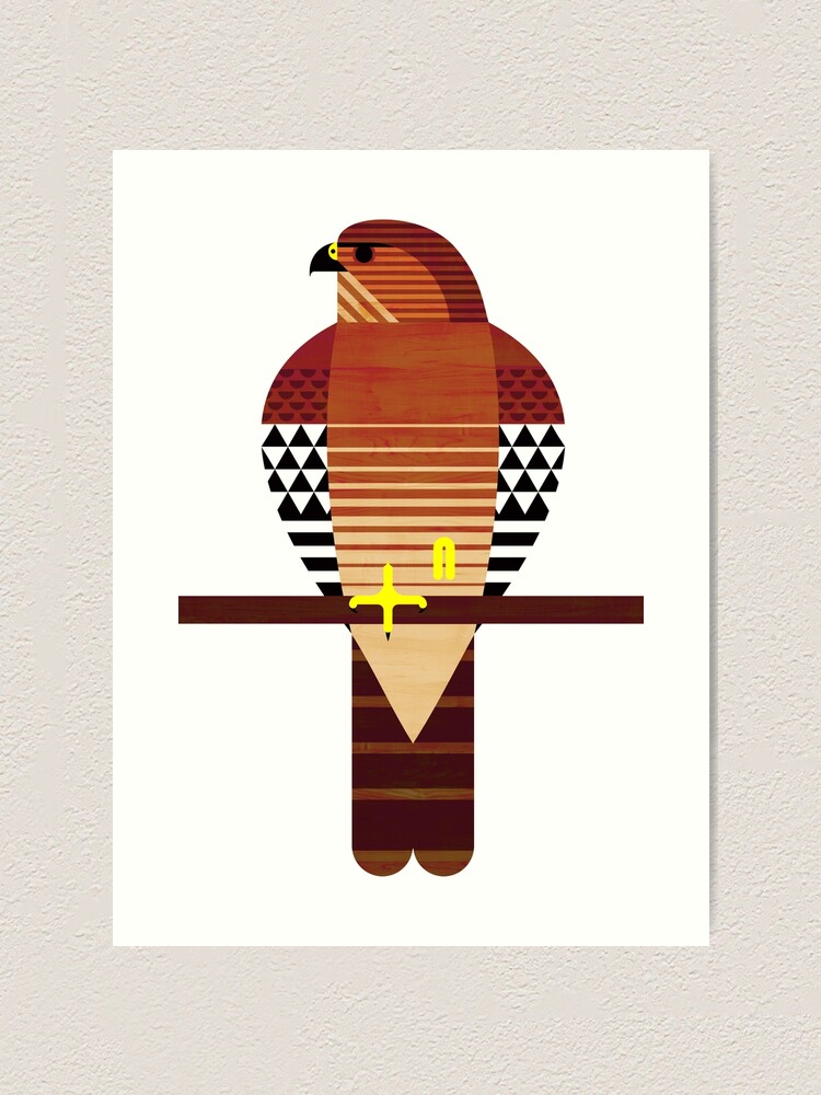 "Red-Shouldered Hawk" Art Print for Sale by scottpartridge | Redbubble
