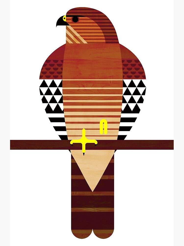 "Red-Shouldered Hawk" Art Print for Sale by scottpartridge | Redbubble