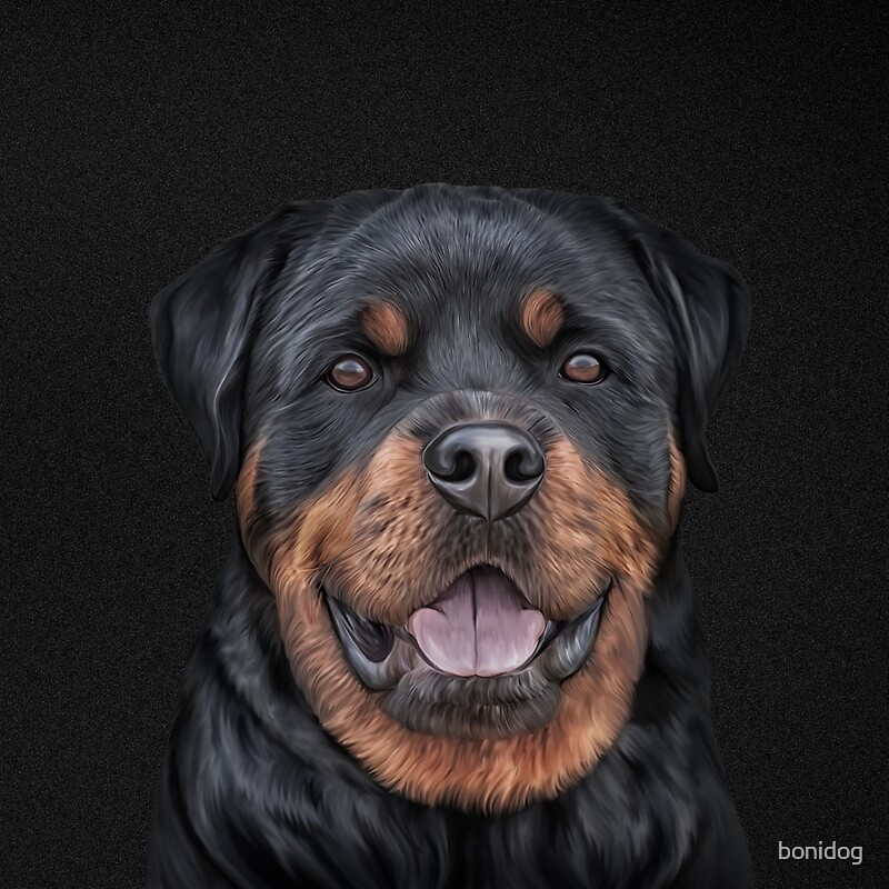 "Drawing dog rottweiler " by bonidog | Redbubble