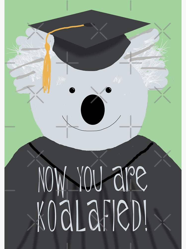 "Koala Bear Graduation Card" Sticker for Sale by amymh | Redbubble