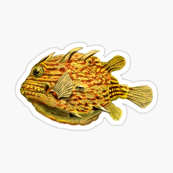 "Ornamental Fish" Sticker for Sale by GranDesign | Redbubble