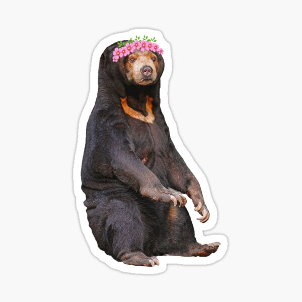 "Sun Bear" Sticker for Sale by chelfors | Redbubble