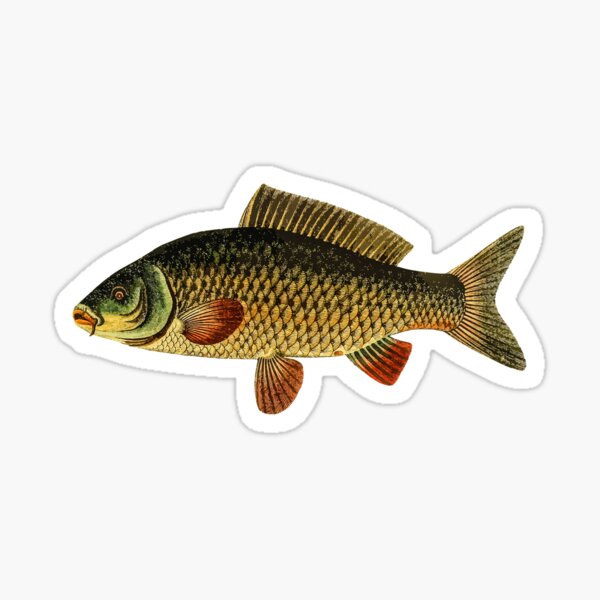 "Ornamental Fish 5" Sticker for Sale by GranDesign | Redbubble