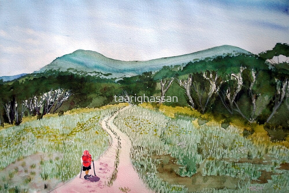 "Hiking to Mt.Clear" by taariqhassan | Redbubble