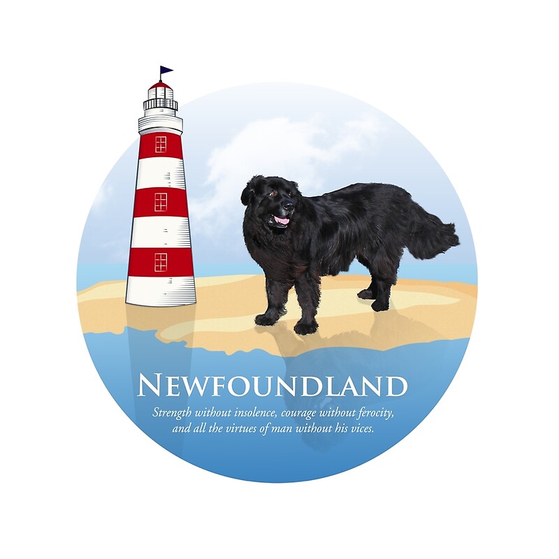 "Samson visit Newfoundland!" by Christine Mullis | Redbubble