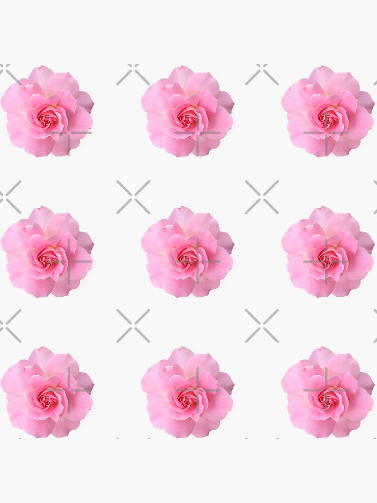 "Pastel Pink Flower Pack" Sticker by saracreates | Redbubble