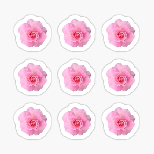 "Pastel Pink Flower Pack" Sticker by saracreates | Redbubble