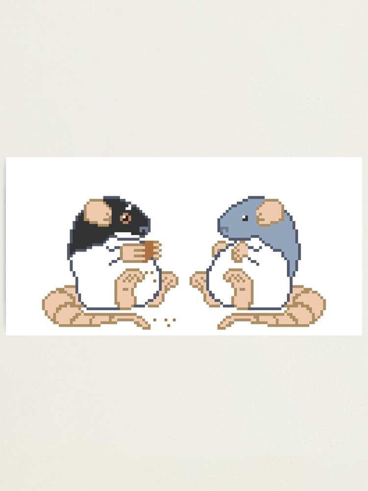 "Fat Rat Brothers - Pixel Art" Photographic Print by ratkingshirts ...