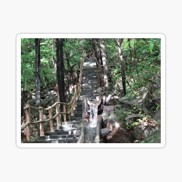 "Pathways" Sticker for Sale by ALifeSavored | Redbubble