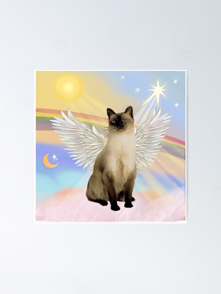 Siamese Angel Cat Windstone Editions Siamese Cat with Flap Wings Angel ...