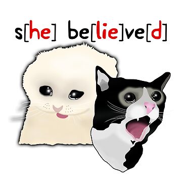 "14 Year Old Girl Sbeve Cat Meme" iPhone Case for Sale by Barnyardy ...