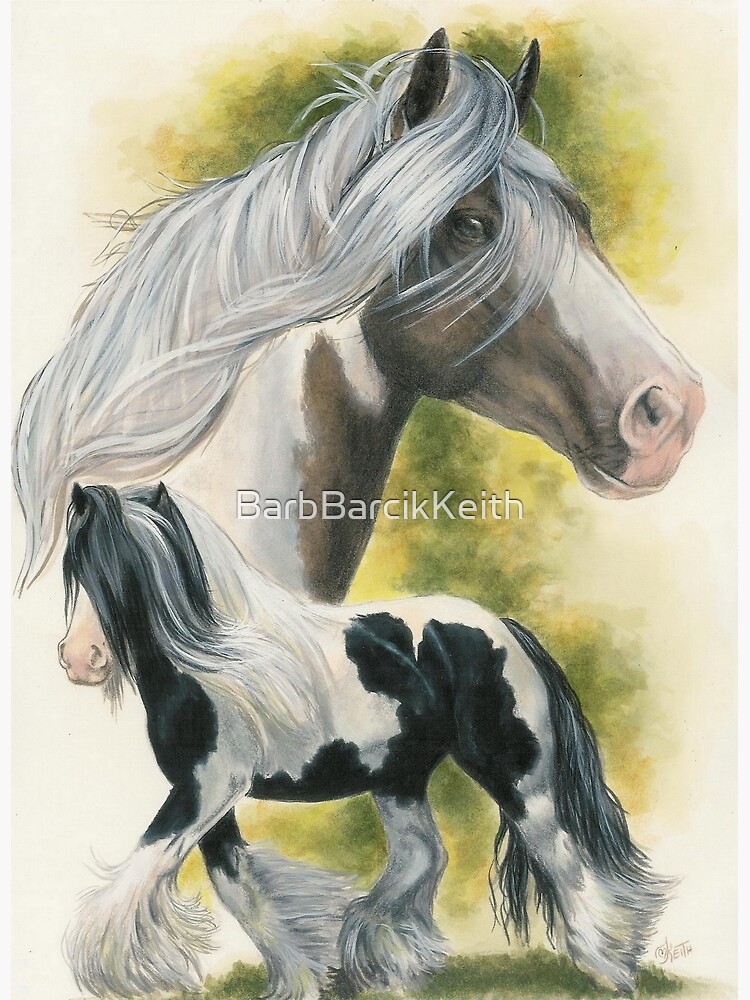 "Gypsy Vanner" Poster by BarbBarcikKeith | Redbubble