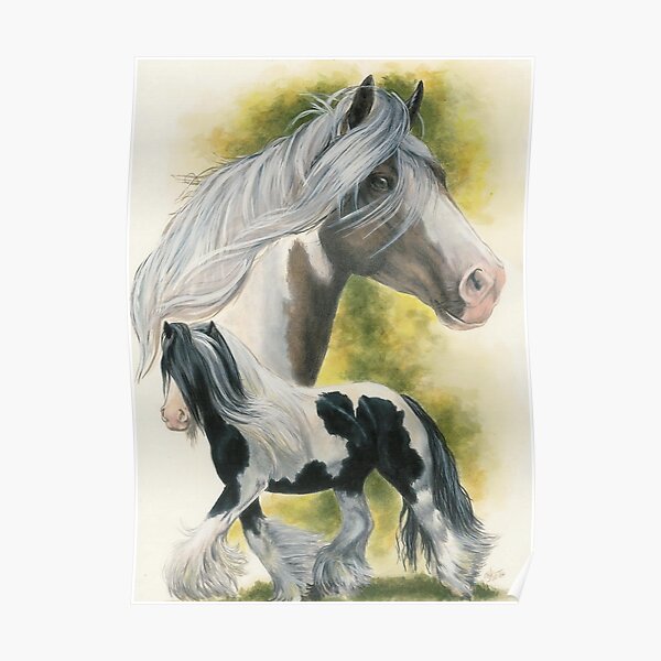 "Gypsy Vanner" Poster by BarbBarcikKeith | Redbubble