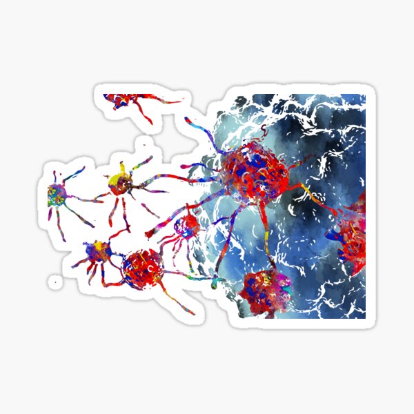 "Prostate cancer cells" Sticker by Rosaliartbook | Redbubble