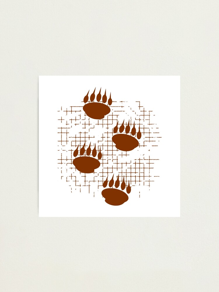"Bear Cub Paw Prints On Distressed Background " Photographic Print by ...